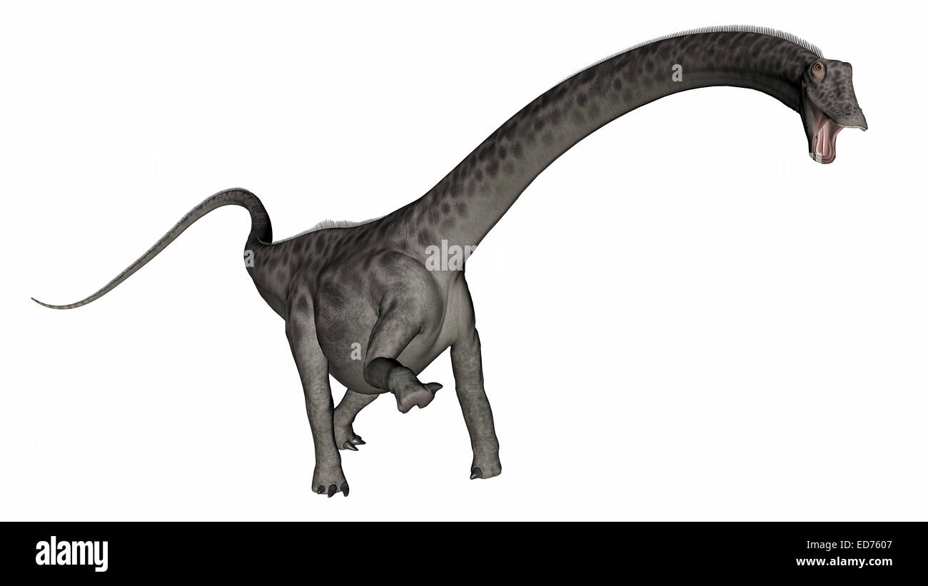 Long Neck Dinosaur High Resolution Stock Photography and Images - Alamy