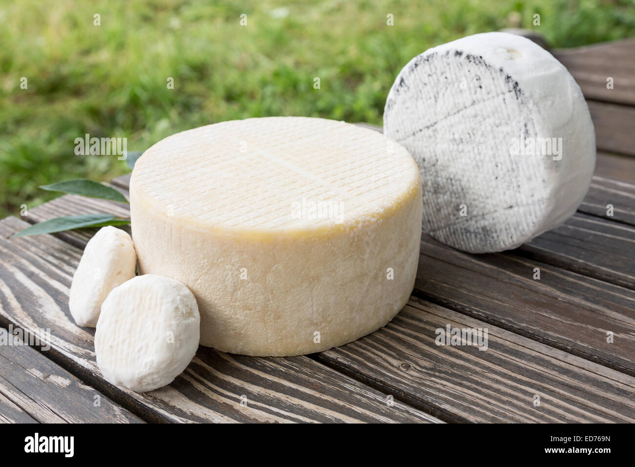 Assorted goat cheese lying on a wooden table boards Stock Photo - Alamy