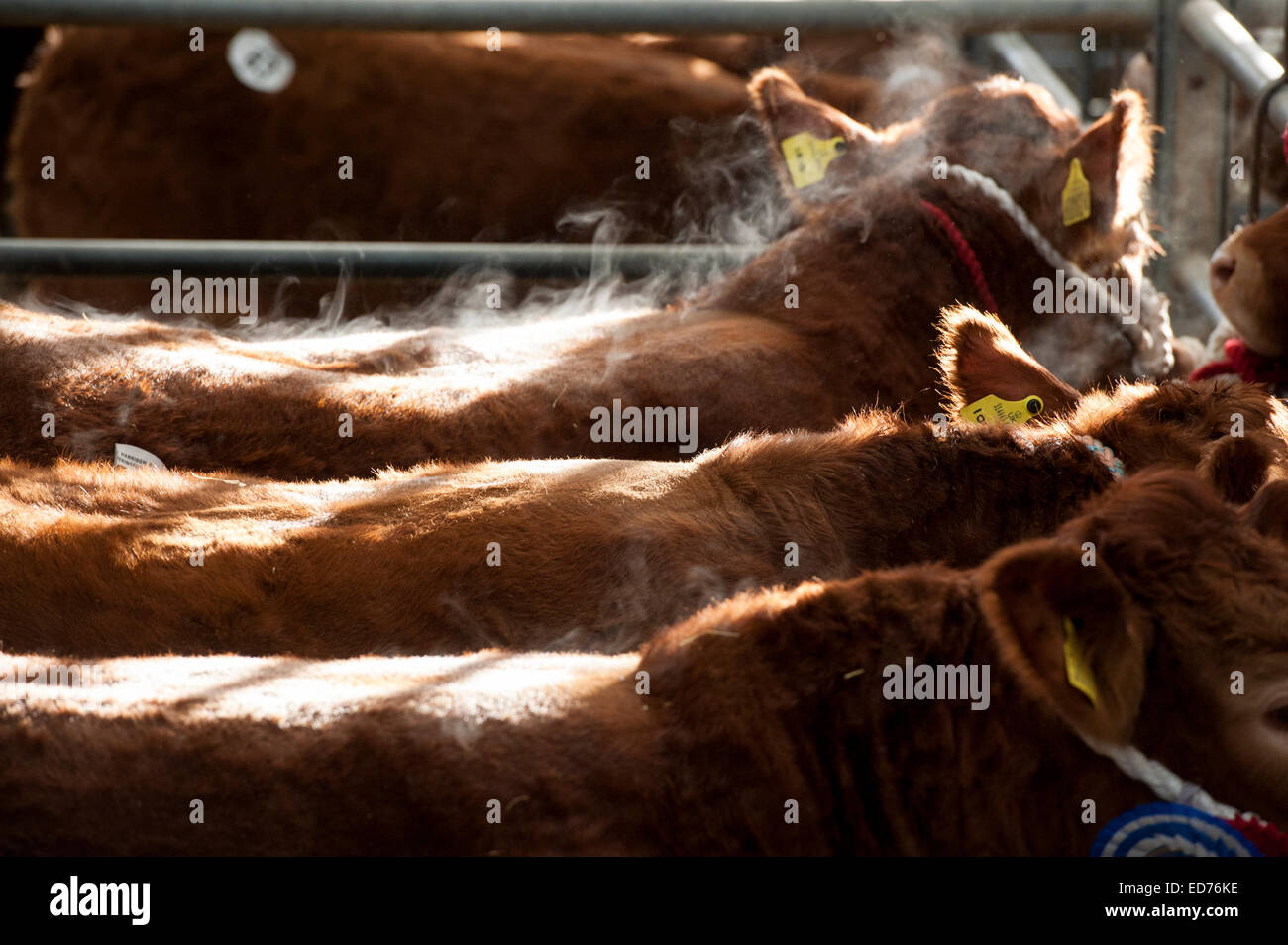 Heat steam hi-res stock photography and images - Alamy