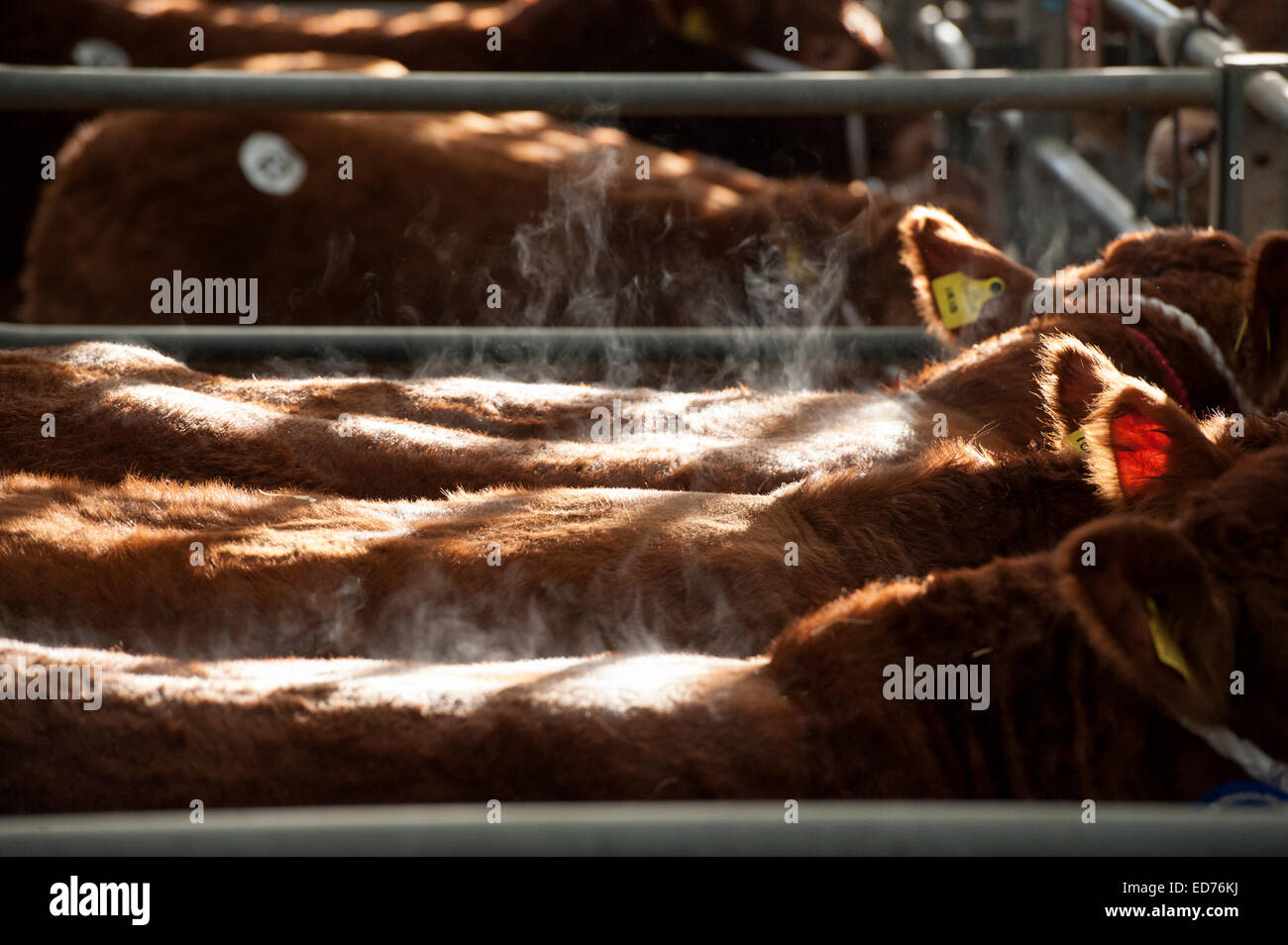 Heat steam hi-res stock photography and images - Alamy