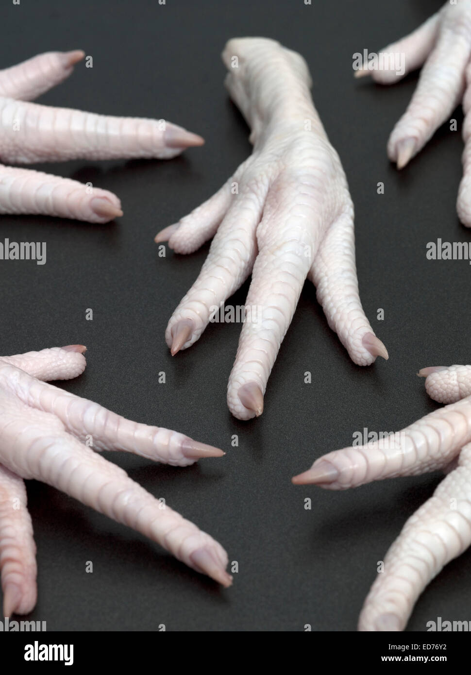 Raw Chickens Feet Stock Photo - Alamy