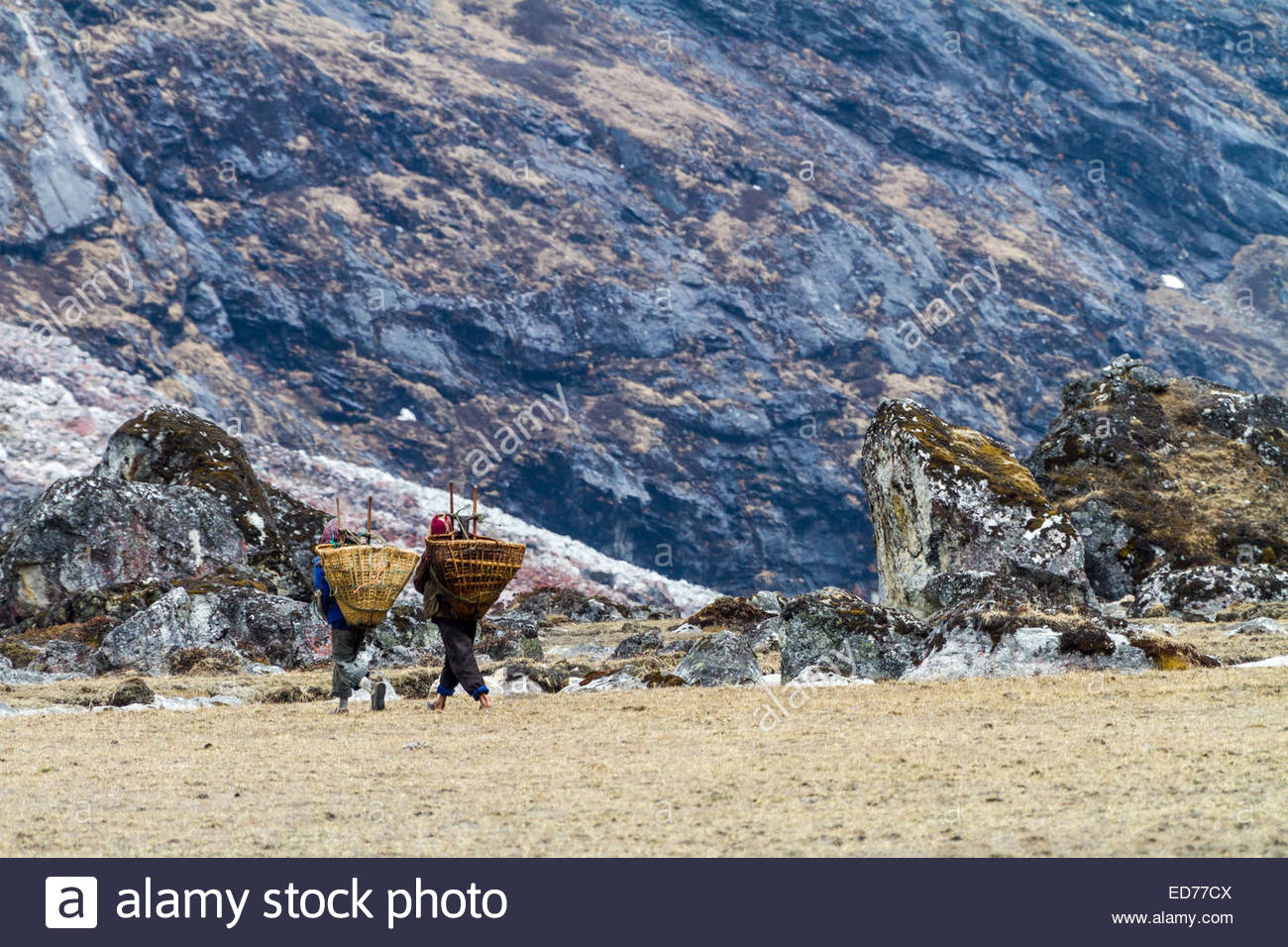 Doko Stock Photos & Doko Stock Images - Alamy