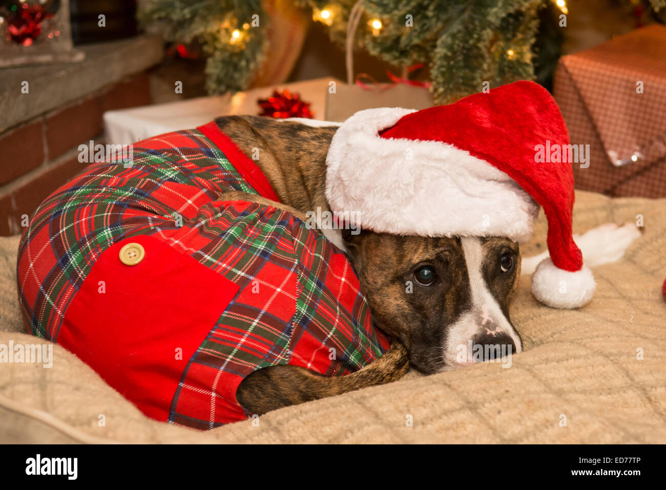 Waiting for Santa Stock Photo - Alamy