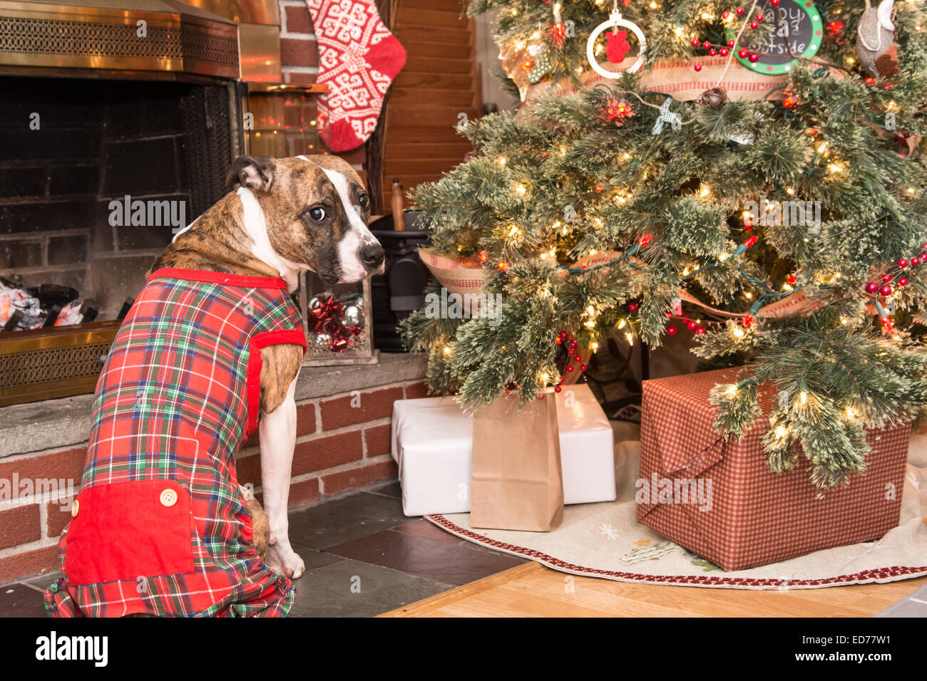 Waiting for Santa Stock Photo - Alamy