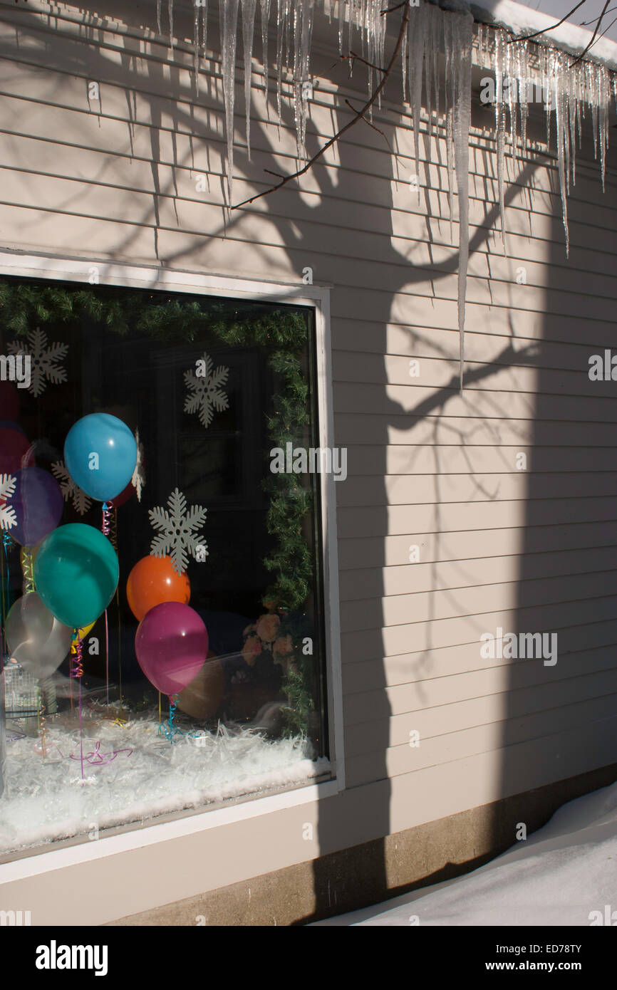 Winter scene outside a decorated flower shop window Stock Photo - Alamy