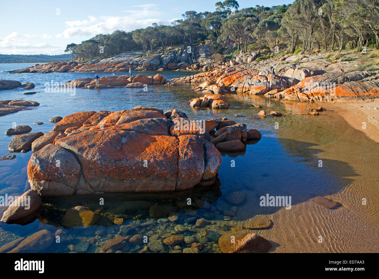Coastline at Coles Bay on Freycinet Peninsula Stock Photo - Alamy