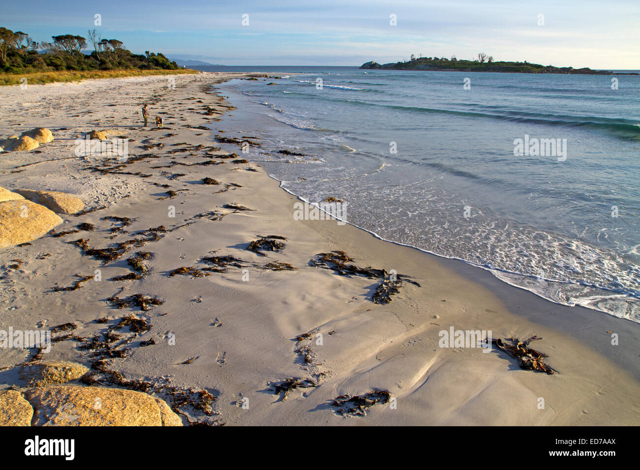 Beach and Diamond Island at Bicheno Stock Photo - Alamy