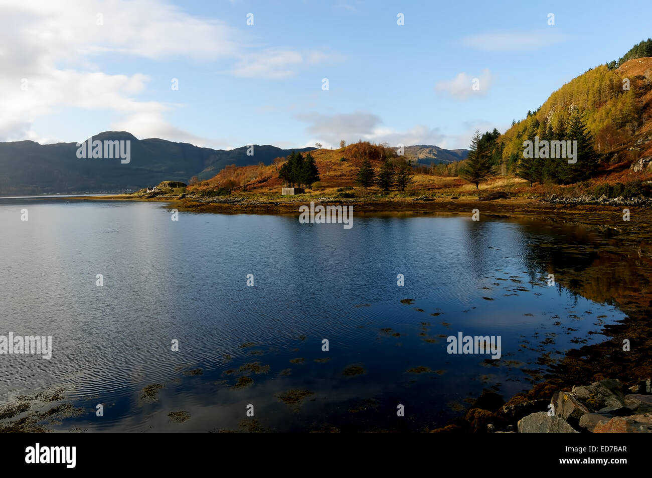 Loch Duich in the Highlands of Scotland Stock Photo - Alamy