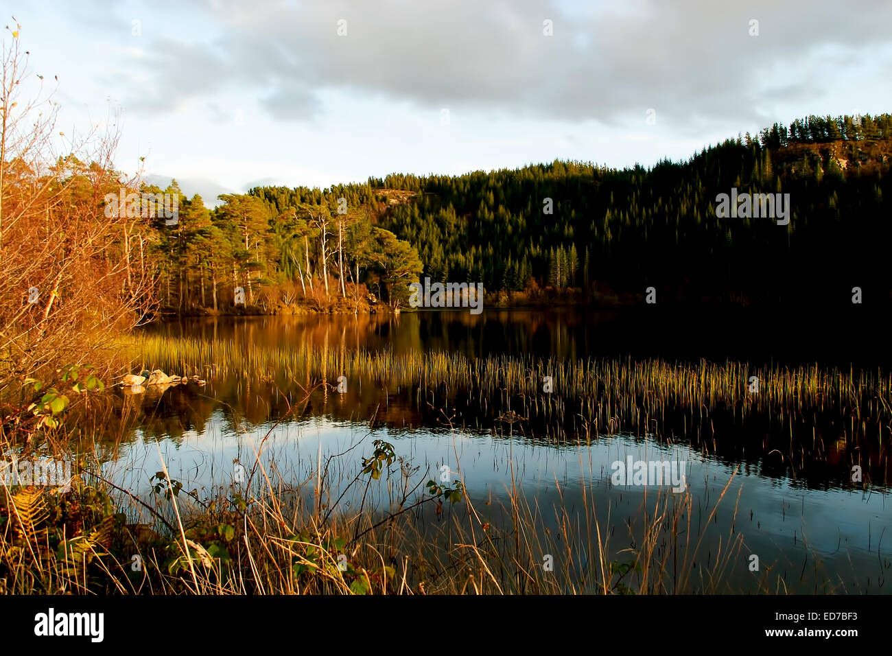 Loch carron duncraig castle hi-res stock photography and images - Alamy