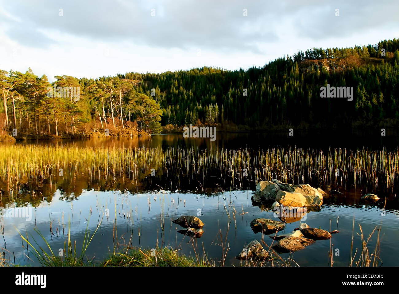 Loch Lundie lies some 3 miles from Plockton in the Highlands of ...