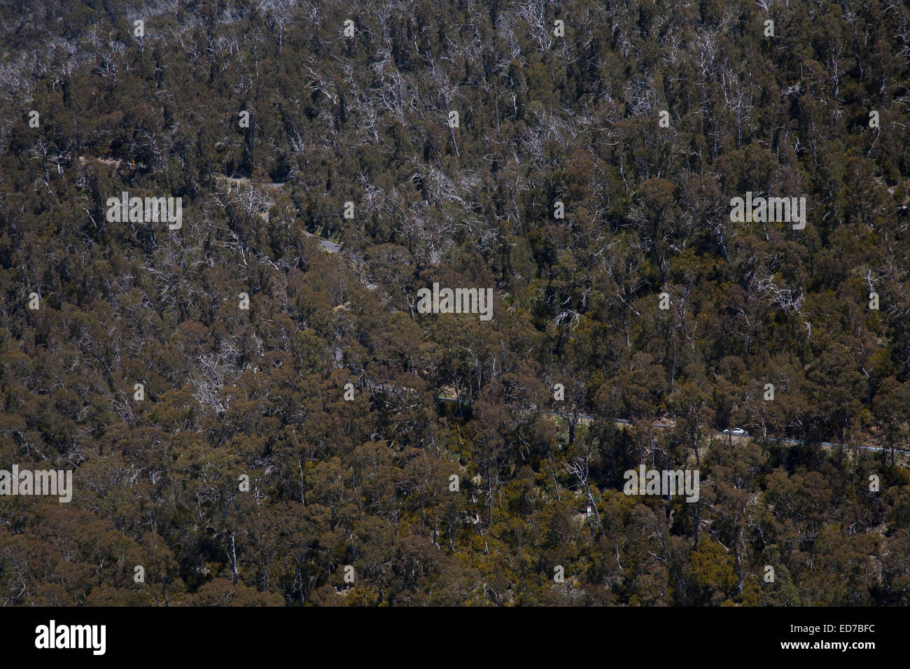 Australian touring car hi-res stock photography and images - Alamy