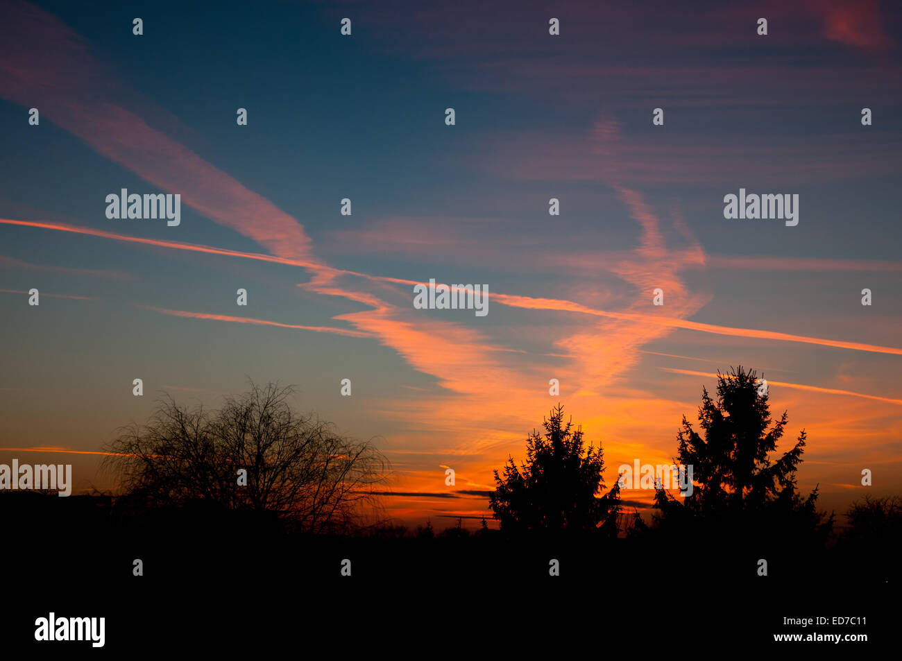 Aeroplane contrails warm sunset light Stock Photo - Alamy
