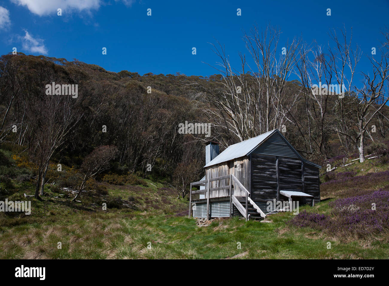 The Silver Brumby Hut, slab timber built, Mt Hotham in Victoria's ...