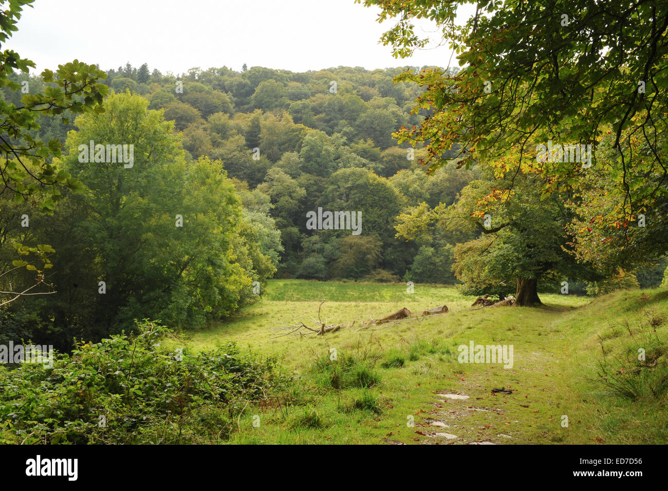 at Arlington Court, Barnstaple, Devon, England, UK Stock Photo - Alamy