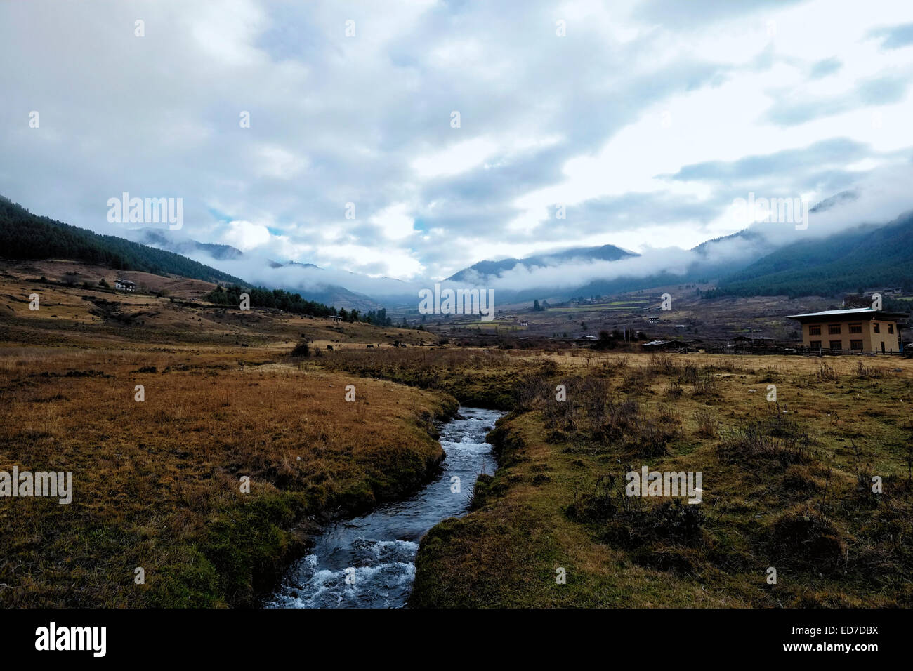 Small river flowing through the Phobjikha valley also often known as ...