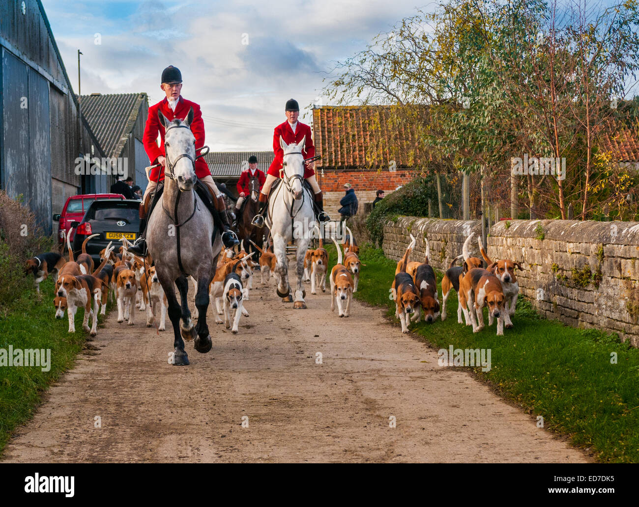 The Belvoir Hunt, a fox hound pack, meeting for the Christmas meet at ...