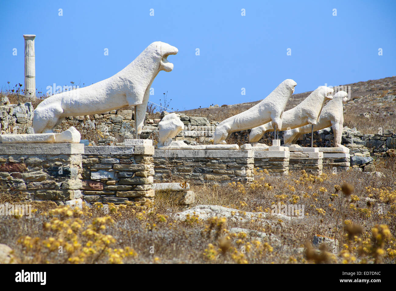 The island of Delos: an important archaeological site in Greece Stock ...