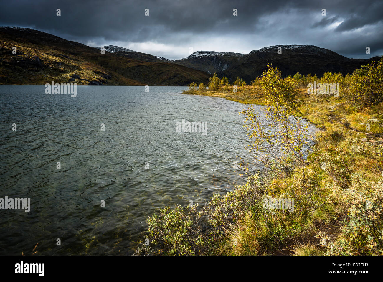 Åsetevatnet, above Mørkrisdalen in Breheimen, Norway. On the trail to ...