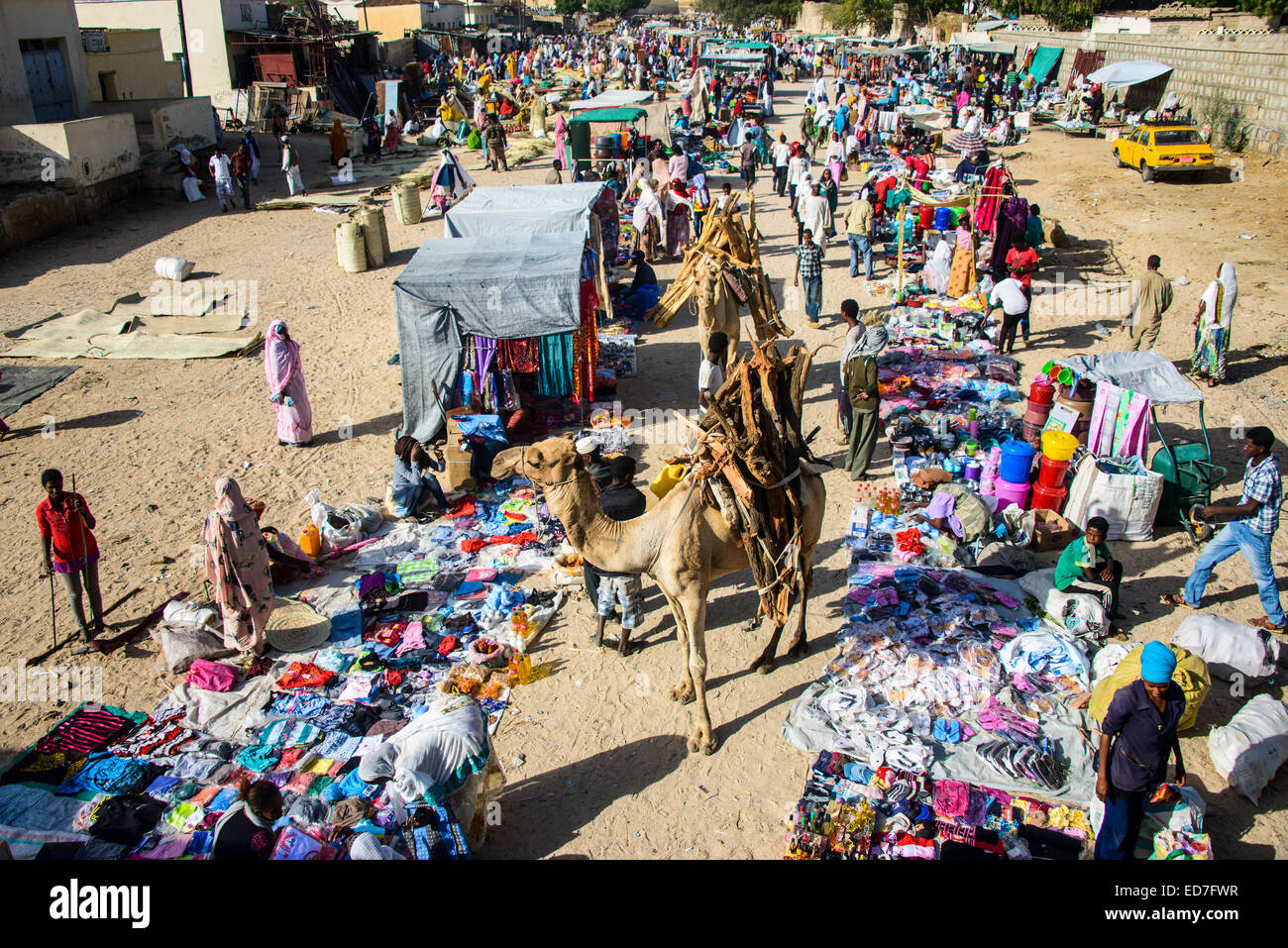Loaded camel walking through the colourful Monday market of Keren, Eritrea Stock Photo - Alamy