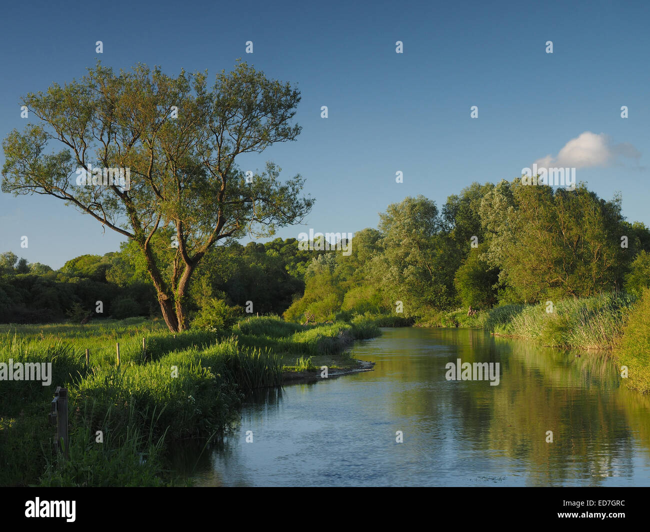 Chalkstream High Resolution Stock Photography and Images - Alamy