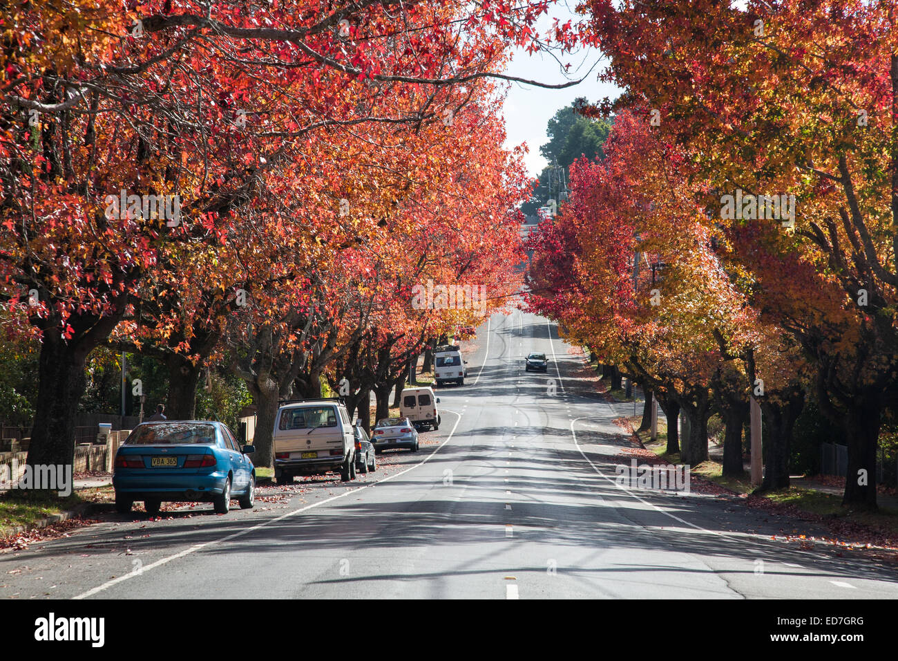 Central tablelands hi-res stock photography and images - Alamy