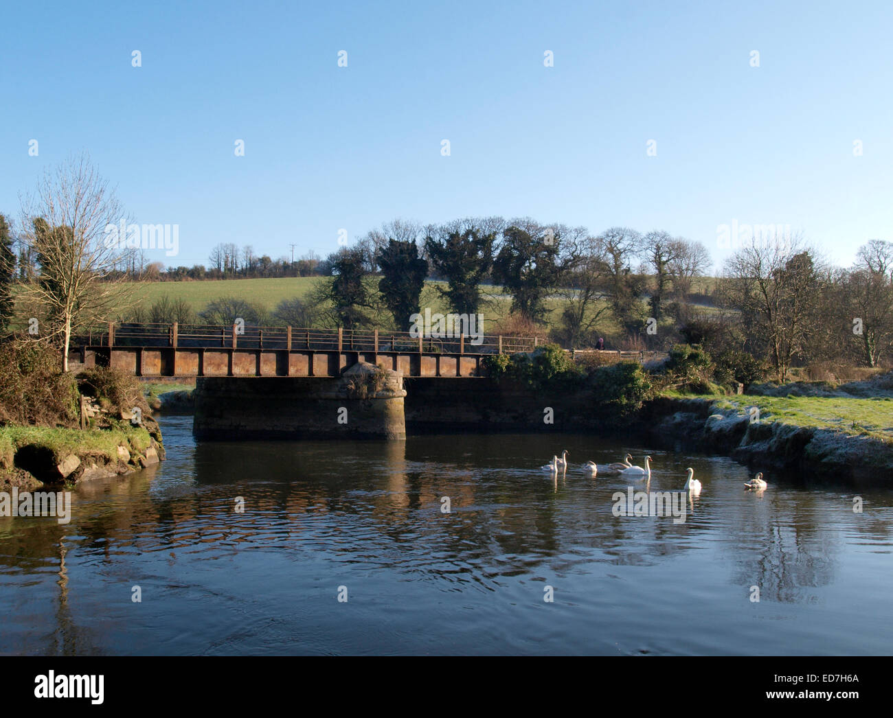 Bridge on the Camel Trail over the Camel River, Wadebridge, Cornwall ...