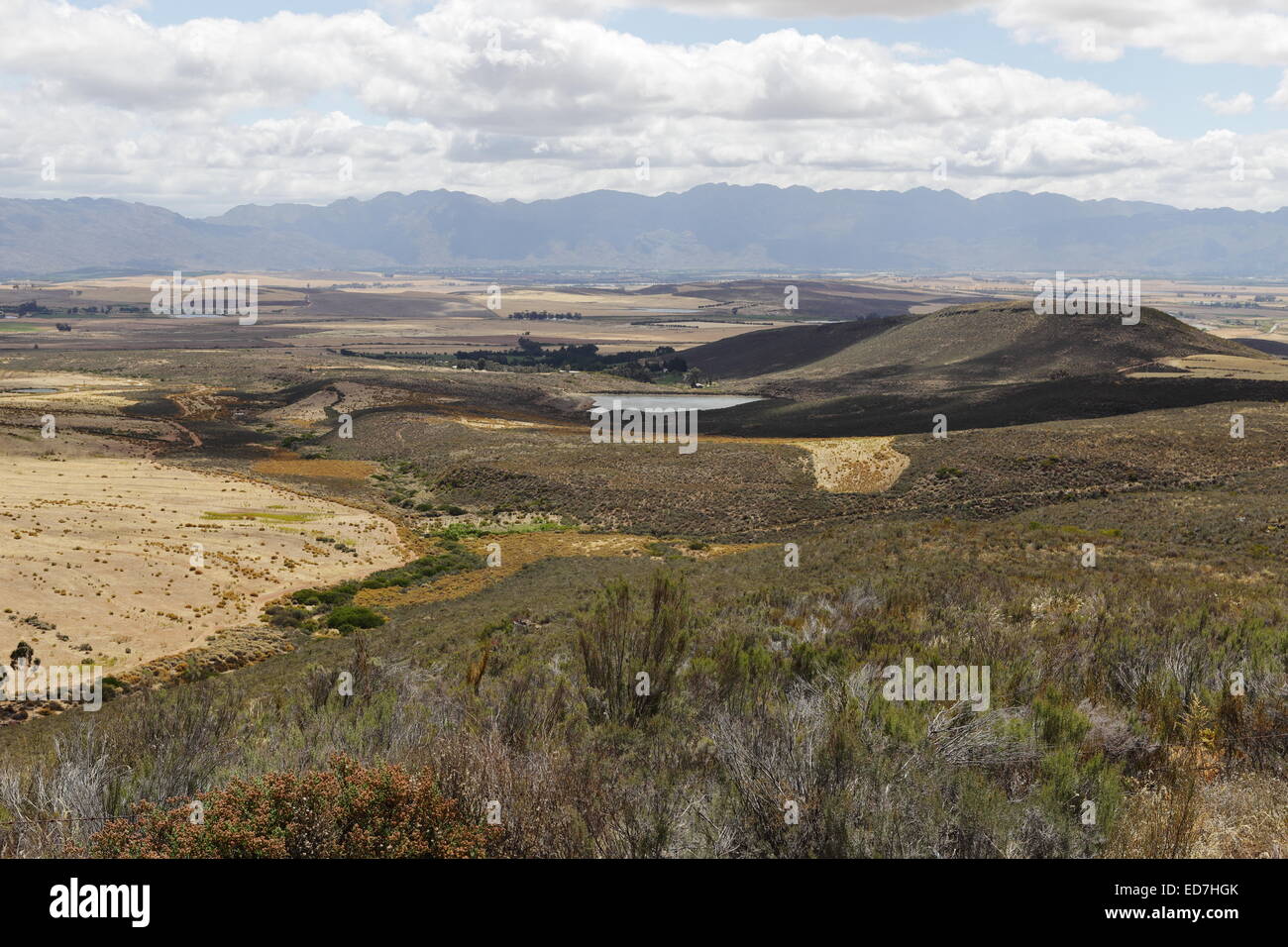 Summer view of farmland in the Matroosberg area in Ceres Stock Photo ...