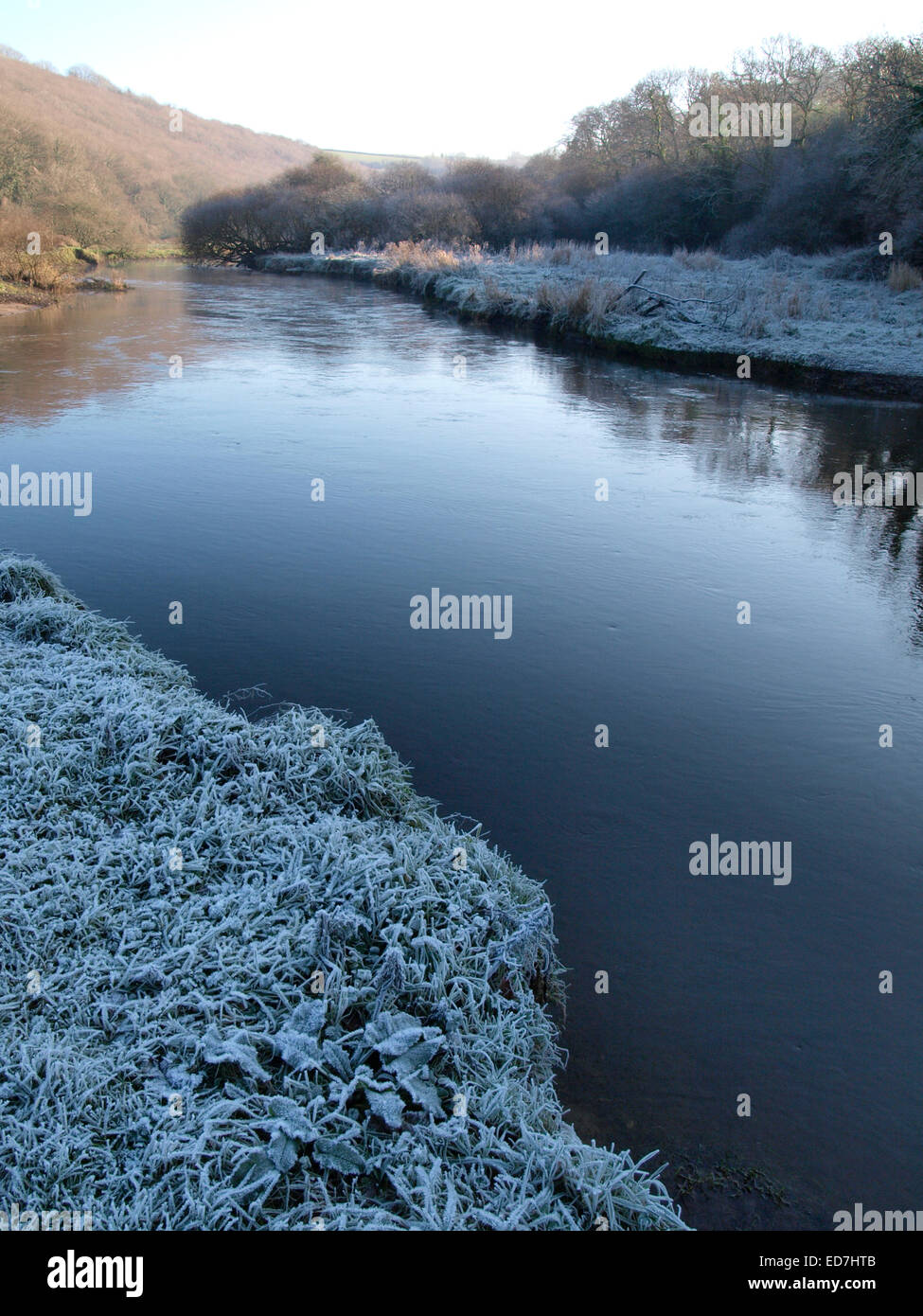 Frost covered river bank, River Camel, Wadebridge, Cornwall, UK Stock ...