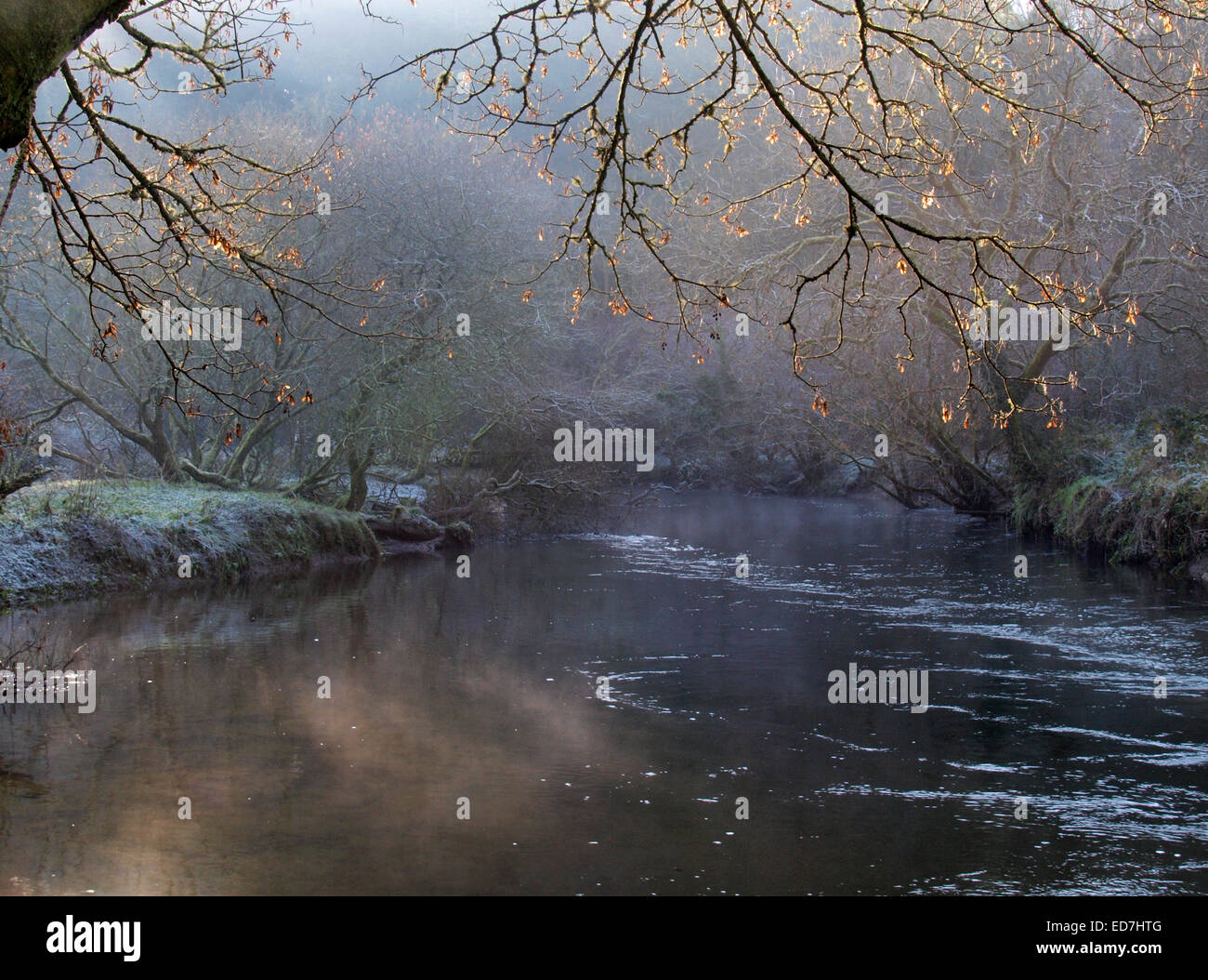 Winter misty day on the Camel River, Wadebridge, Cornwall, UK Stock ...