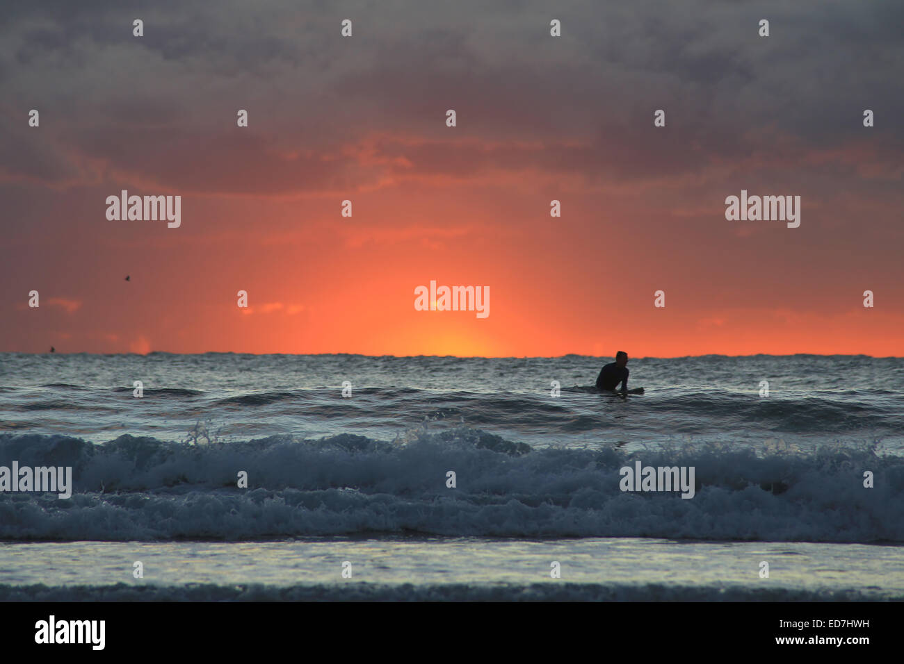 A lone surfer is waiting for a wave on his surfboard. The morning Sun ...