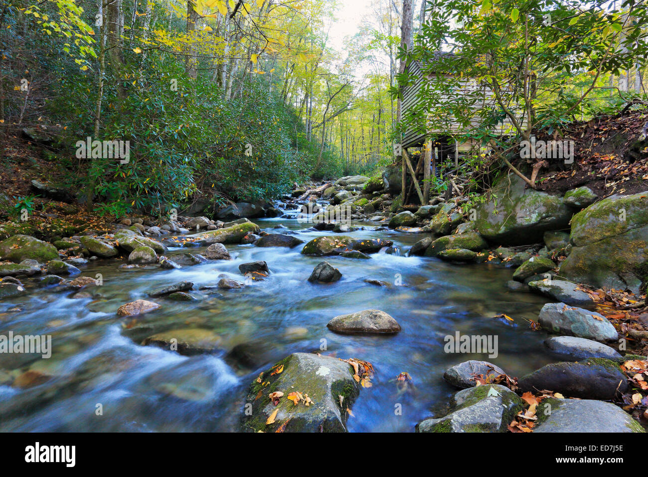 Reagan Mill, Great Smoky Mountains National Park, Tennessee, USA Stock ...