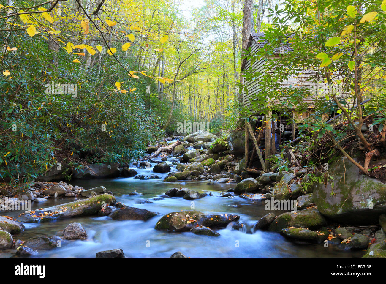 Reagan Mill, Great Smoky Mountains National Park, Tennessee, USA Stock ...