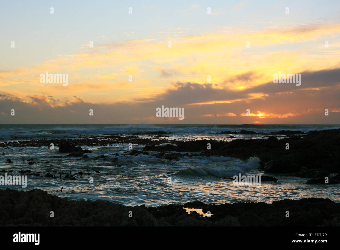 Gans silhouette hi-res stock photography and images - Alamy