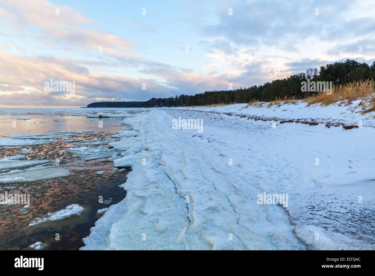 Winter coastal landscape with ice and snow on the beach. Gulf of ...