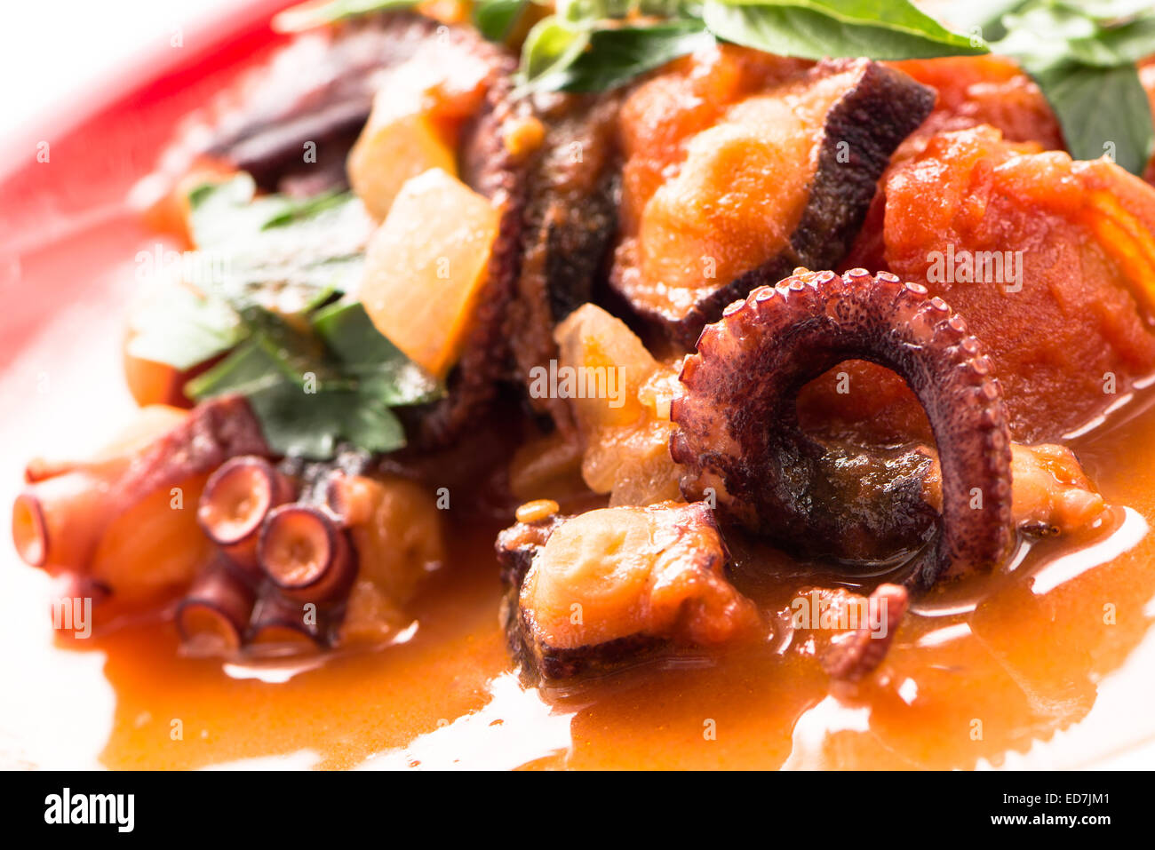 Stewed octopus in tomato sauce with parsley Stock Photo - Alamy