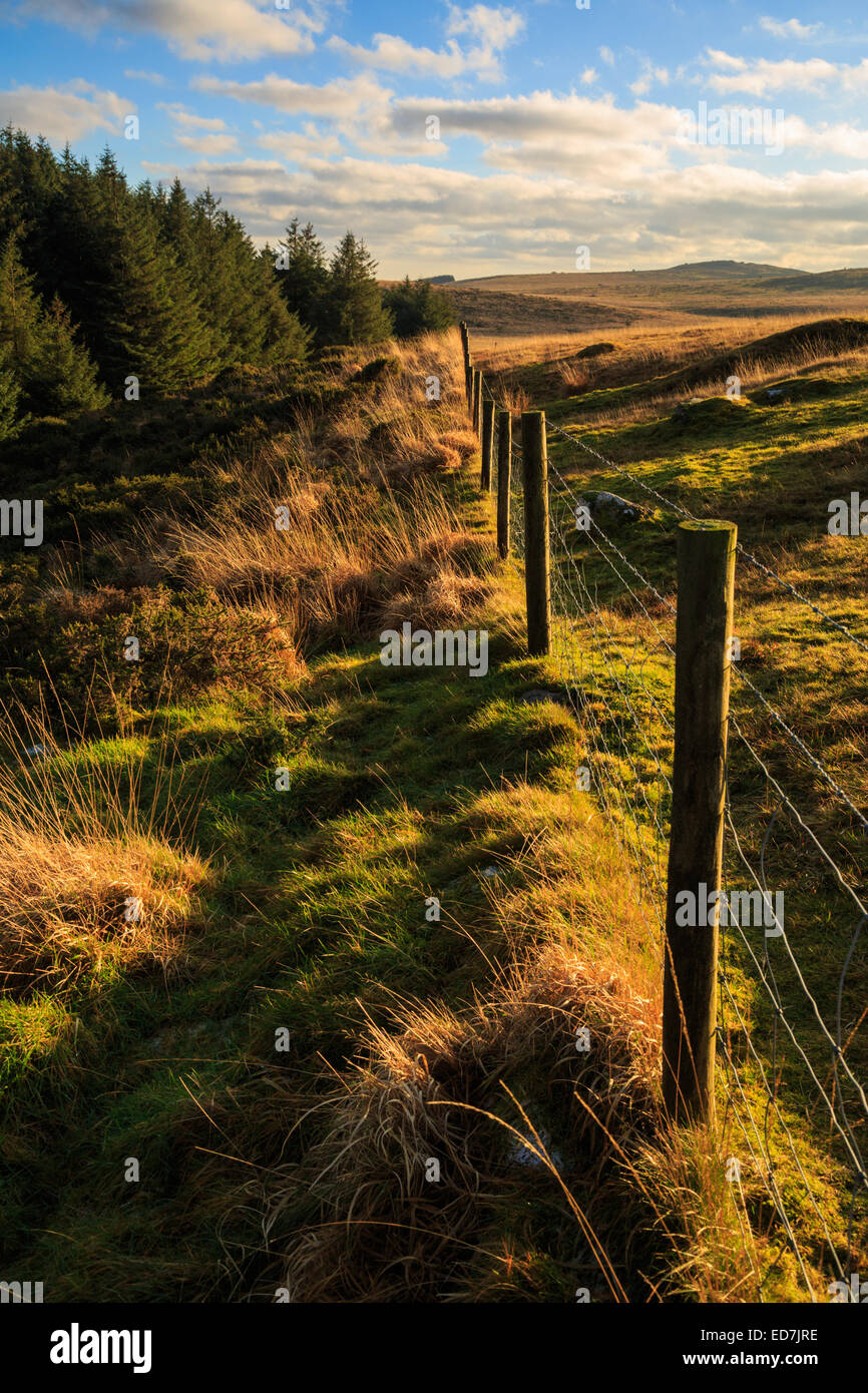 Afternoon sunshine on Bodmin Moor in East Cornwall Stock Photo - Alamy