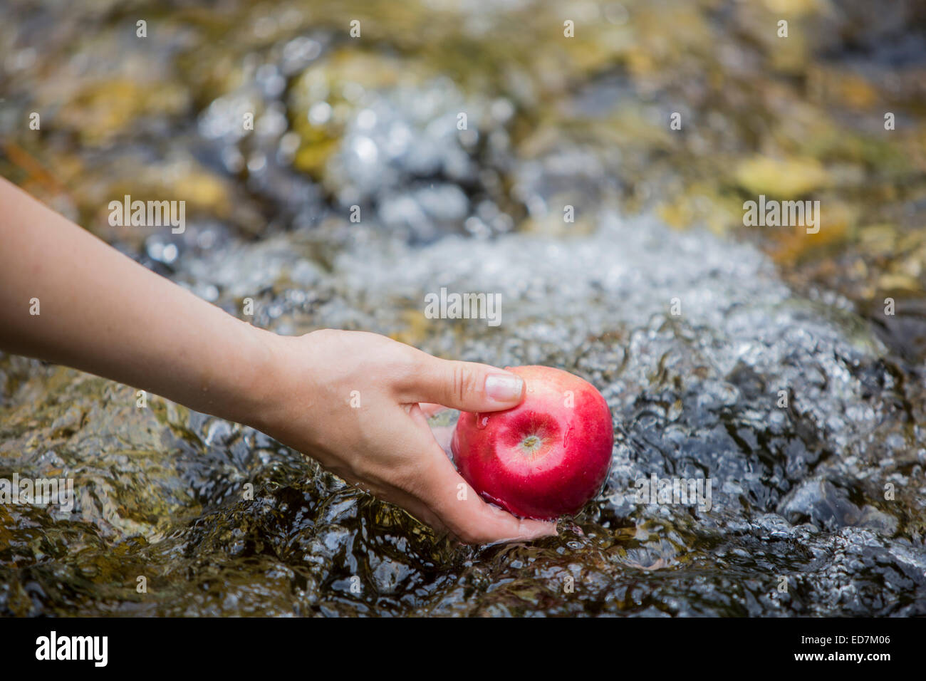 Washing an apple in the clear mountain stream Stock Photo - Alamy