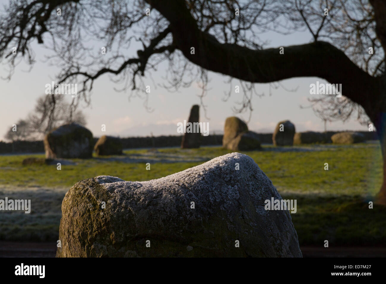 The Bronze Age monolith and stone circle Long Meg (in the distance) and ...