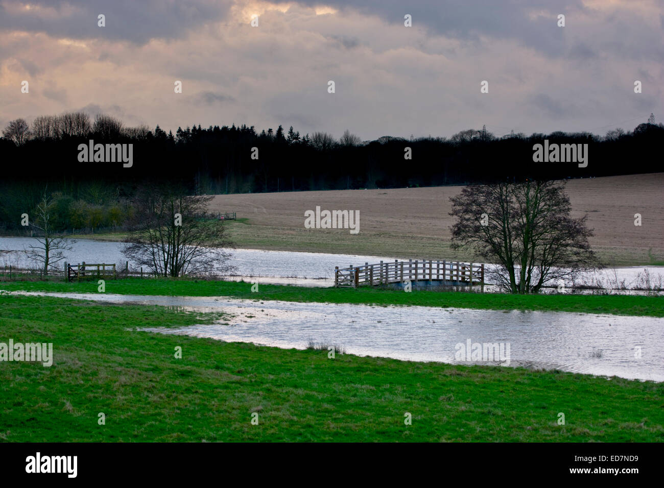 River Tas water meadow flooded Stock Photo - Alamy