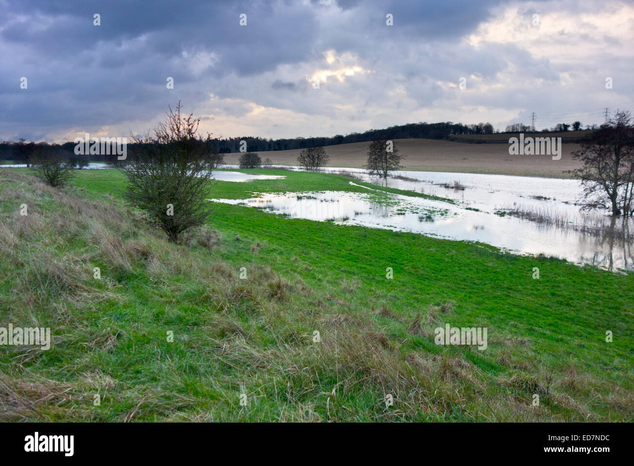 River Tas water meadow flooded Stock Photo - Alamy