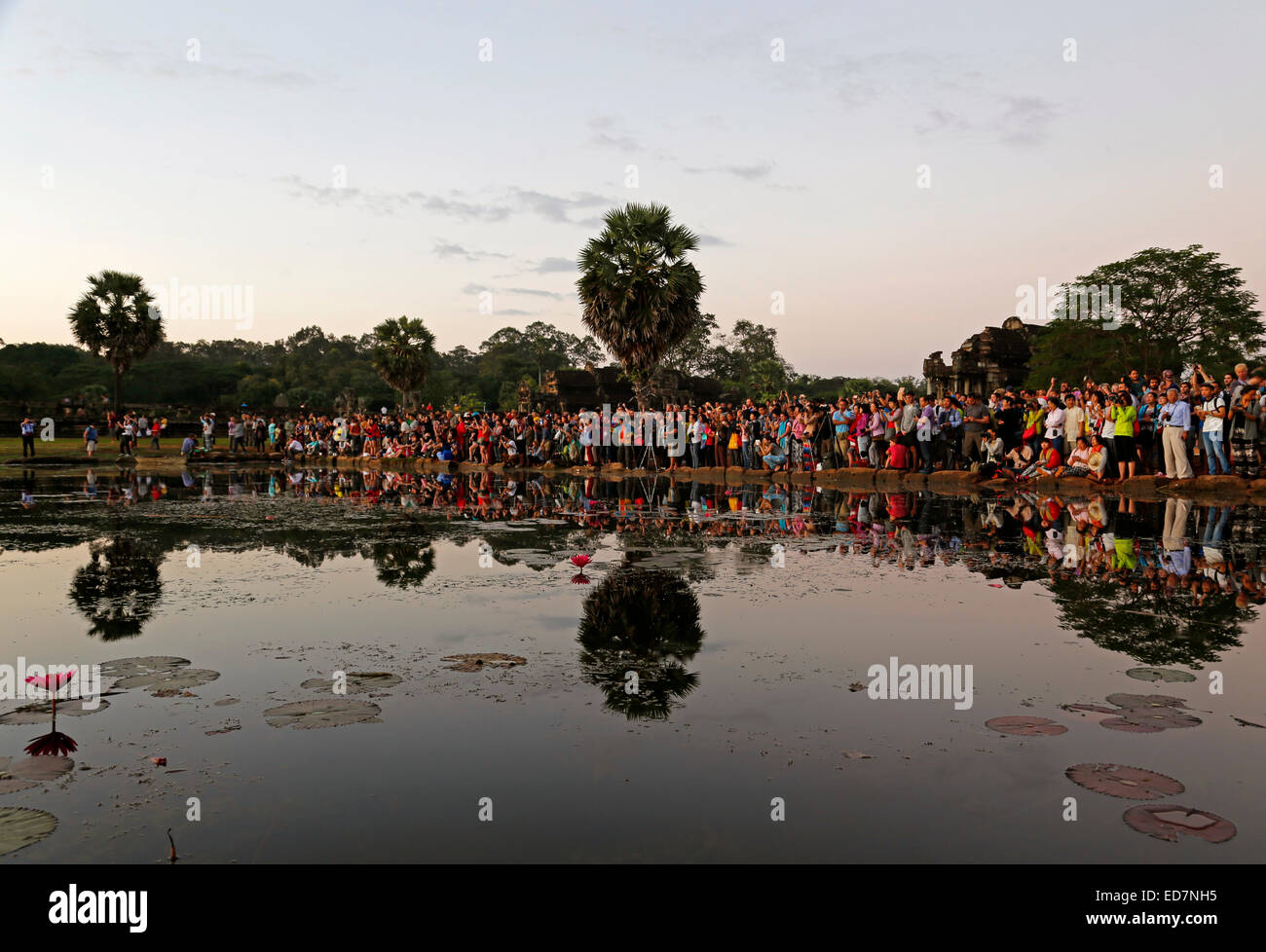 Tourists crowd round the lake at Angkor Wat temple to watch sunrise ...