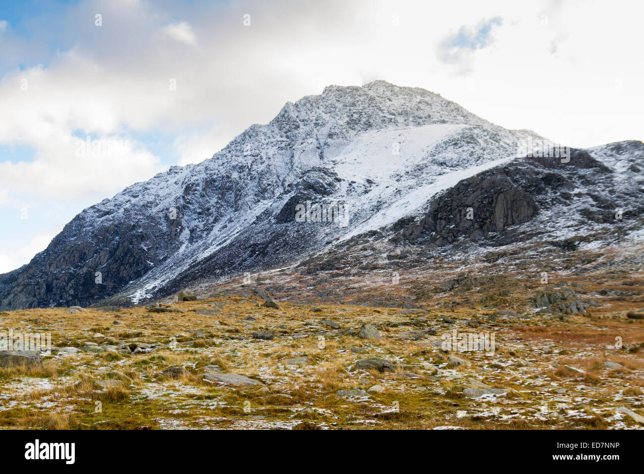 Tryfan in North Wales covered in snow Stock Photo - Alamy