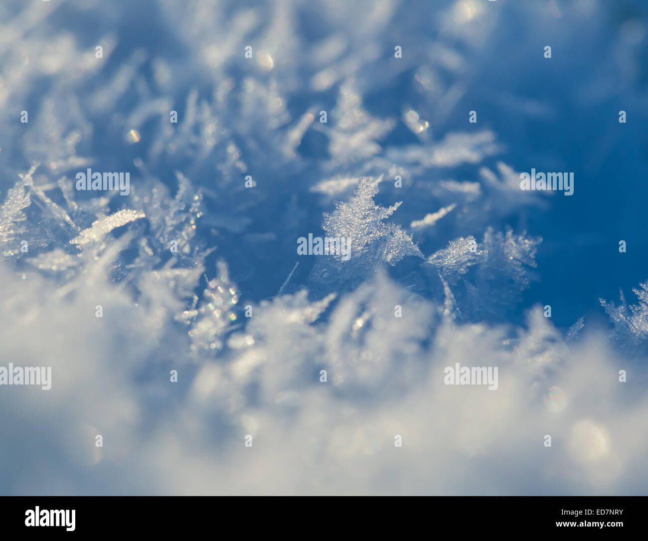 close up of snow crystals Stock Photo - Alamy