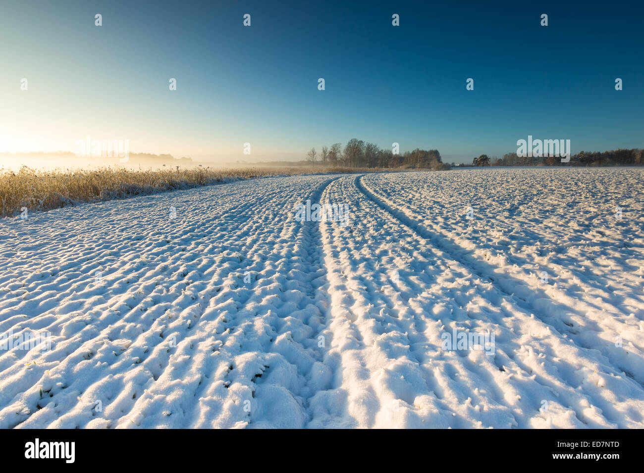 winter field landscape in Poland Stock Photo - Alamy