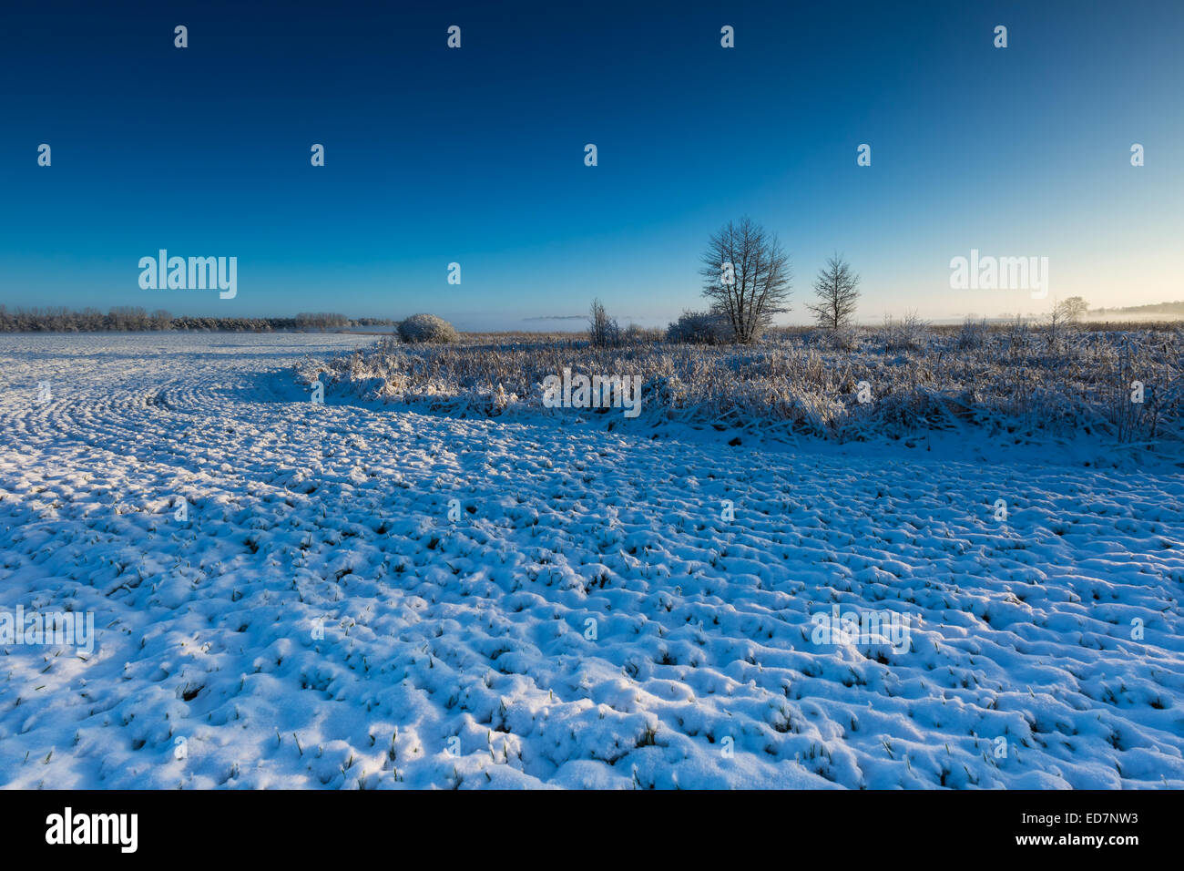 winter field landscape in Poland Stock Photo - Alamy