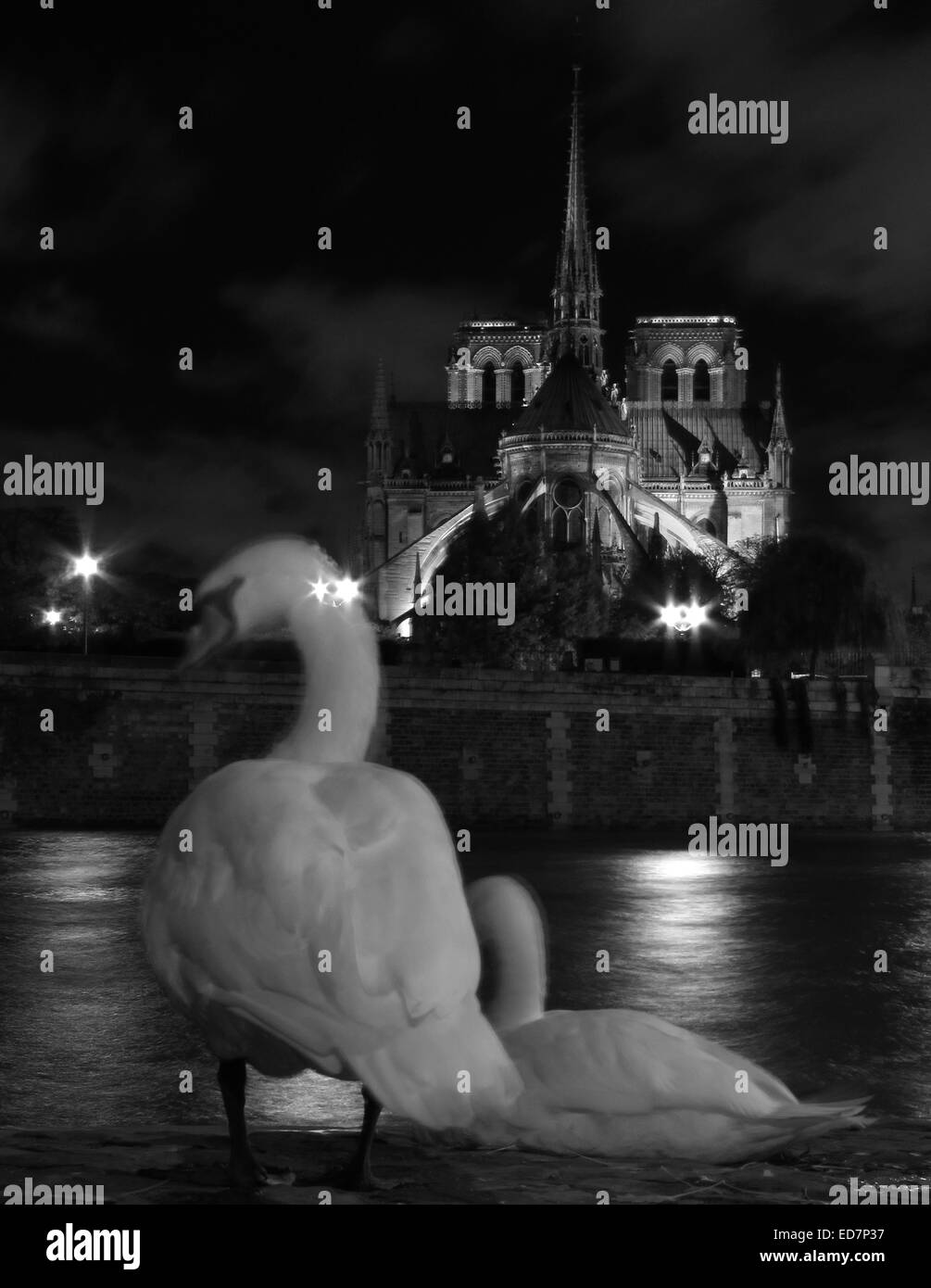 Paris night view Black and White Stock Photos & Images - Alamy
