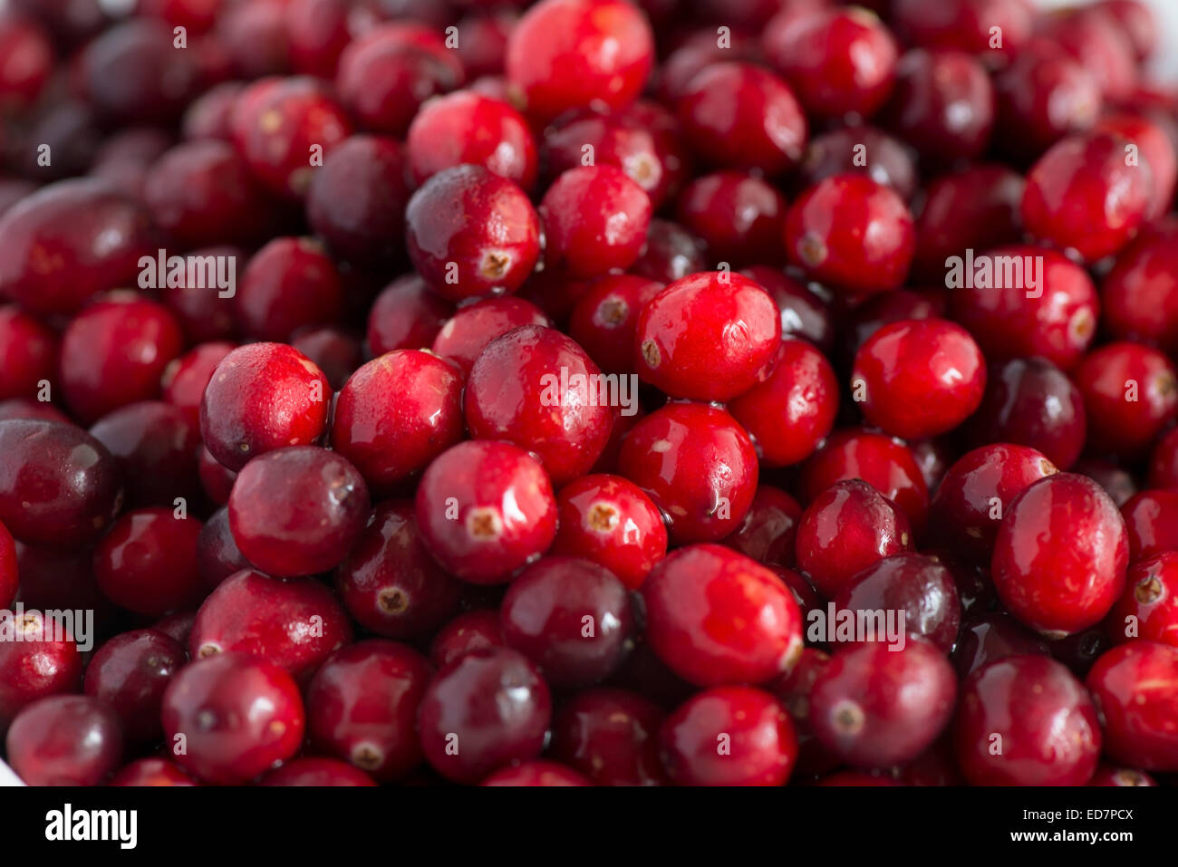 Washed berries hi-res stock photography and images - Alamy
