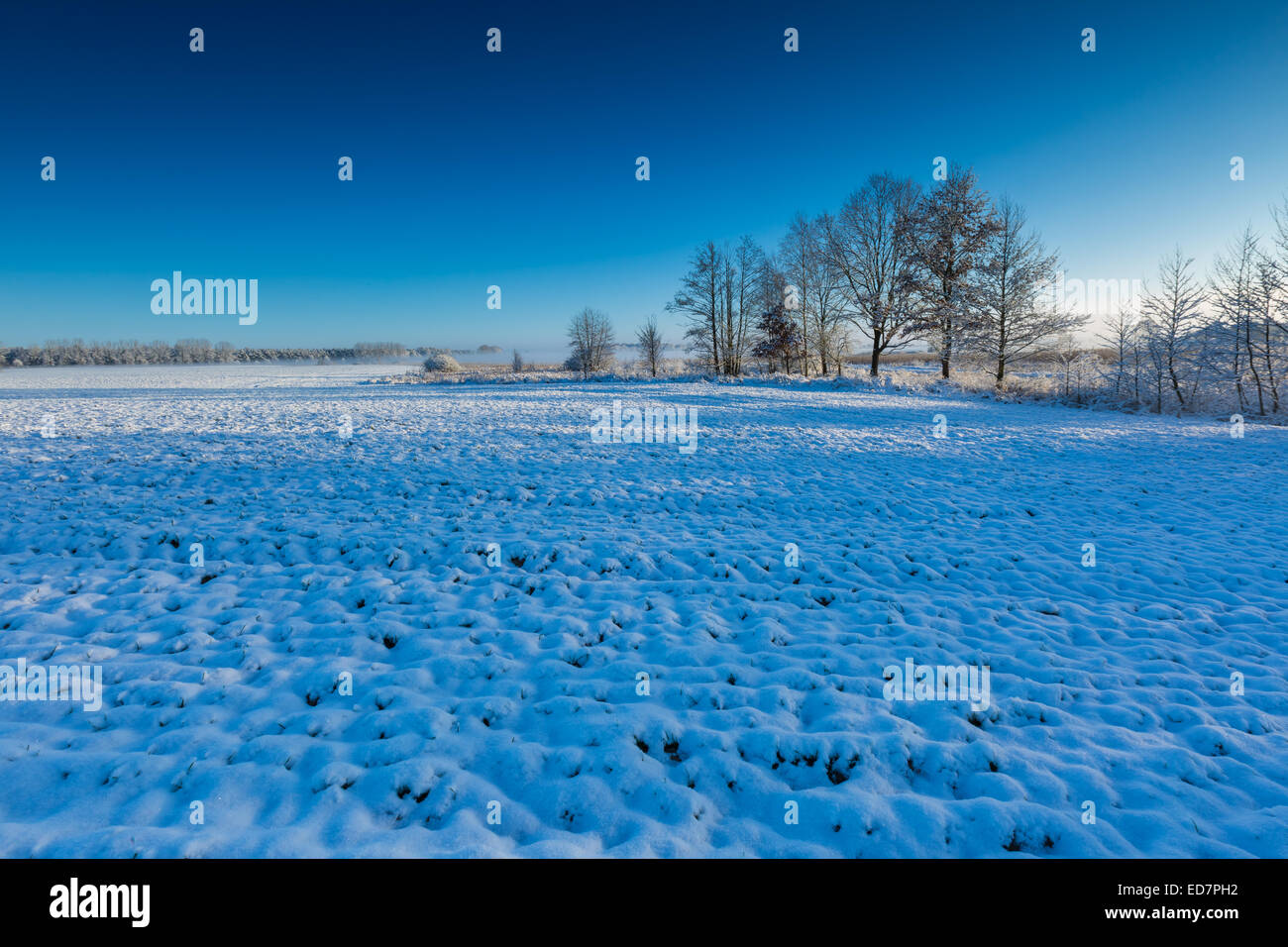 winter field landscape in Poland Stock Photo - Alamy