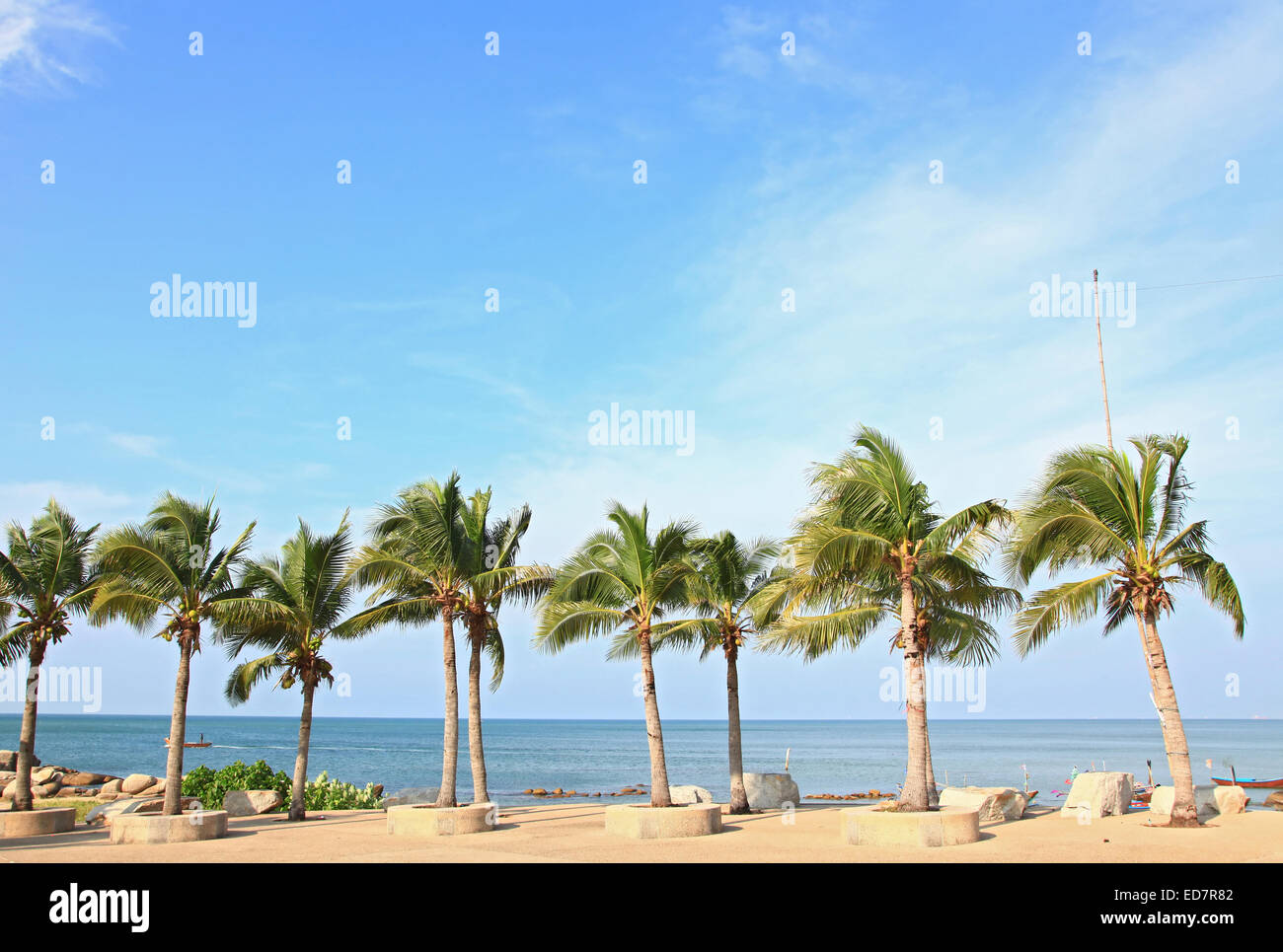 Coconut row palm beach hi-res stock photography and images - Alamy