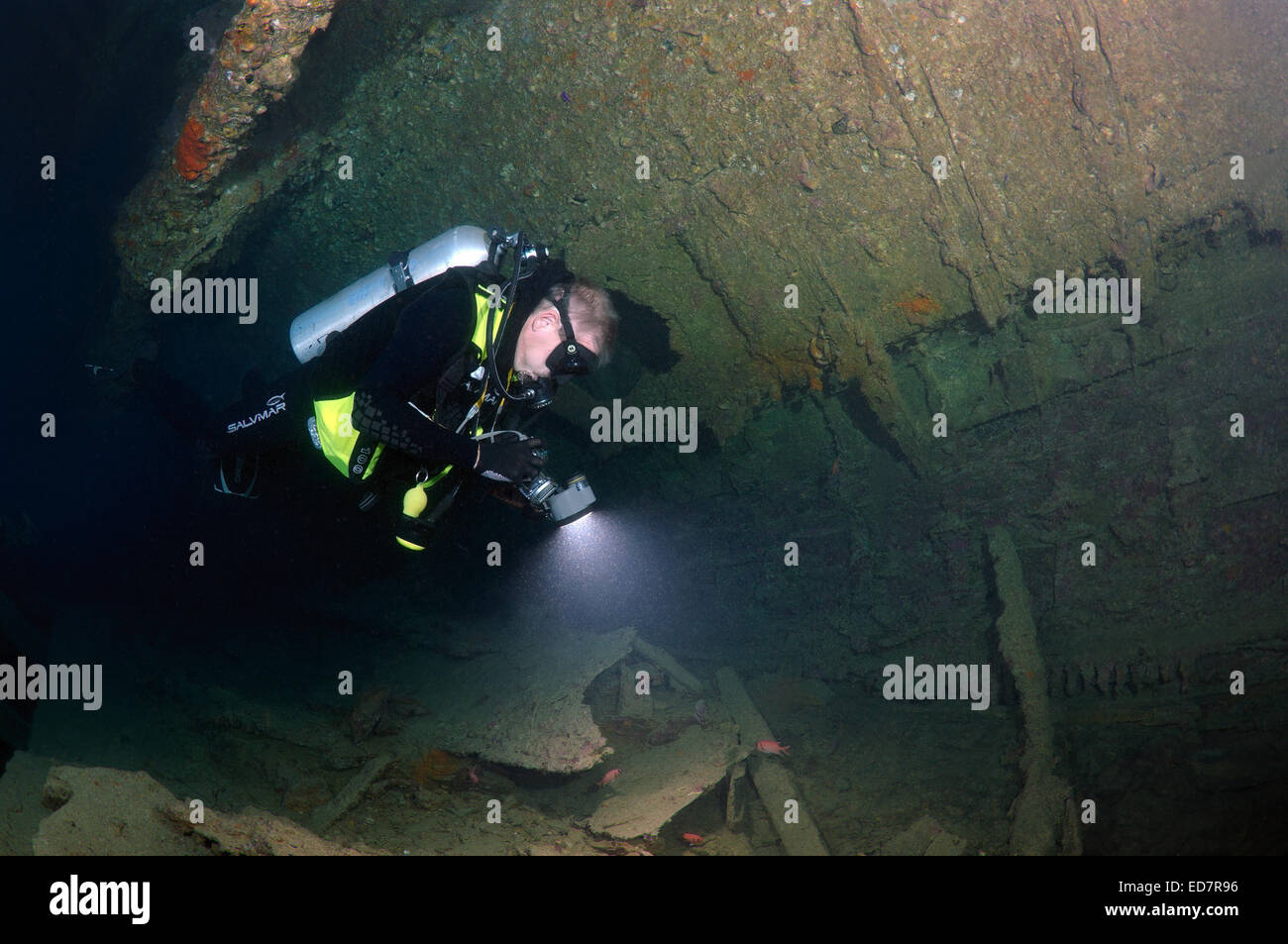 A diver swims in the ship's hold shipwreck "SS Dunraven", Red Sea ...